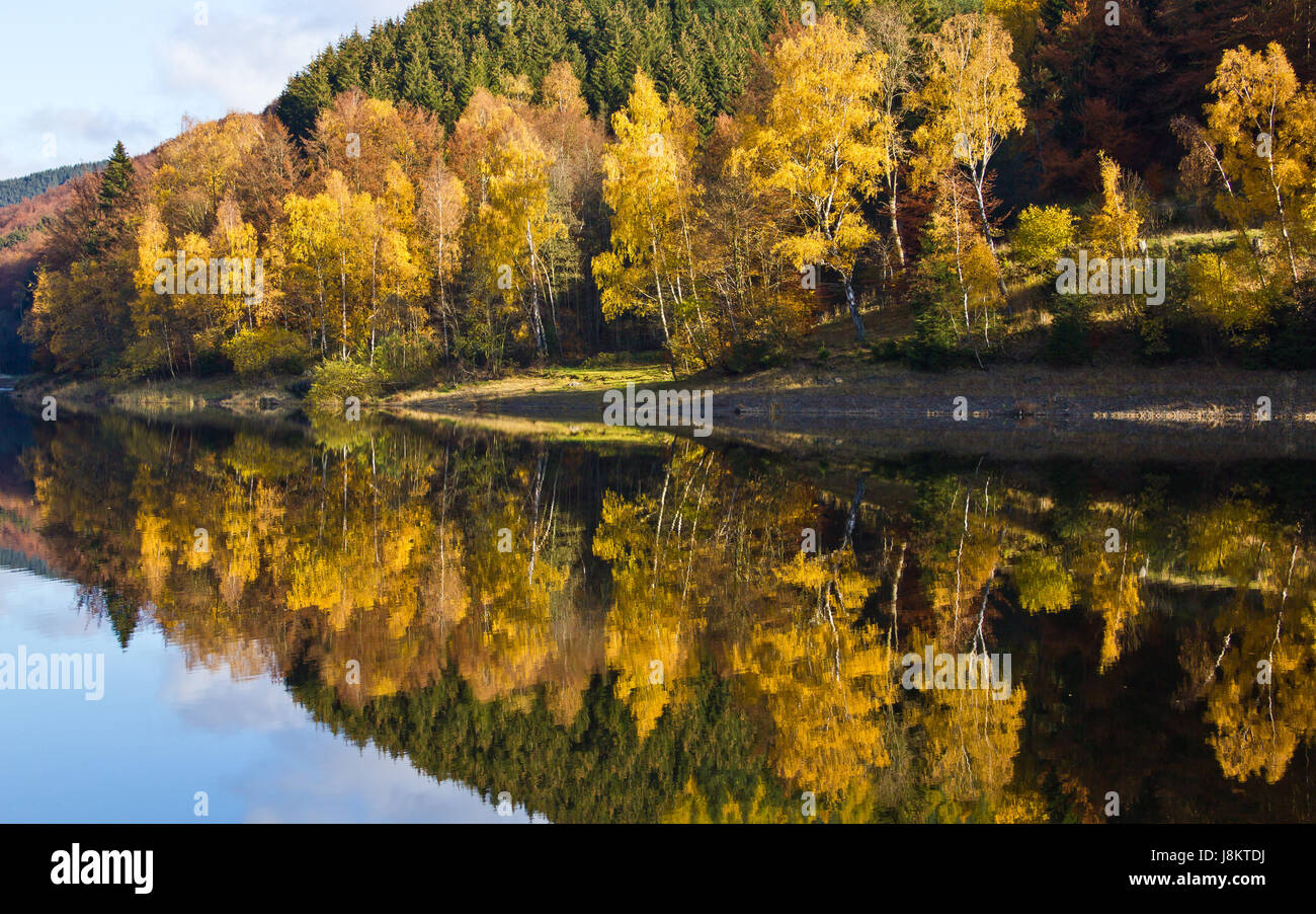 See2 hi-res stock photography and images - Alamy