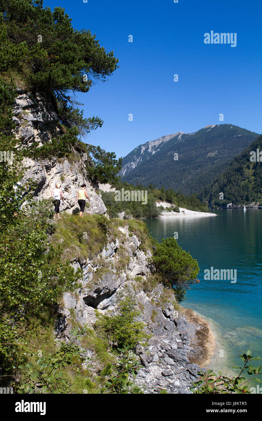 tree, fresh water, lake, inland water, water, tree, mountains, tyrol ...