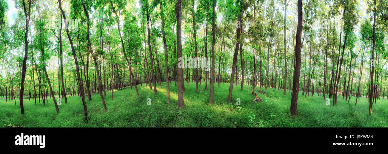 360 degree environment hi-res stock photography and images - Alamy