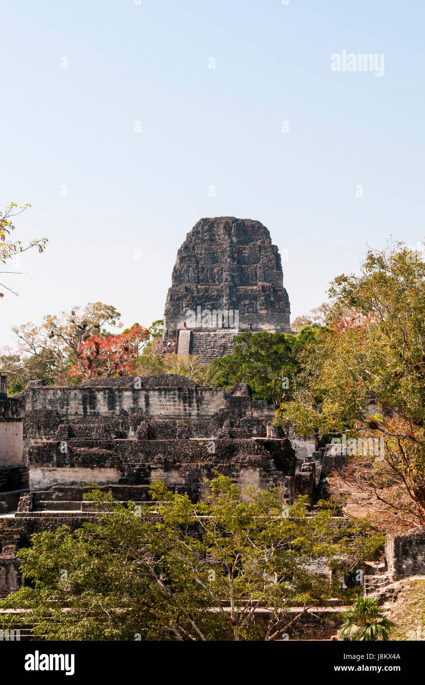 The Temple V at Tikal mayan archaeological site Stock Photo - Alamy