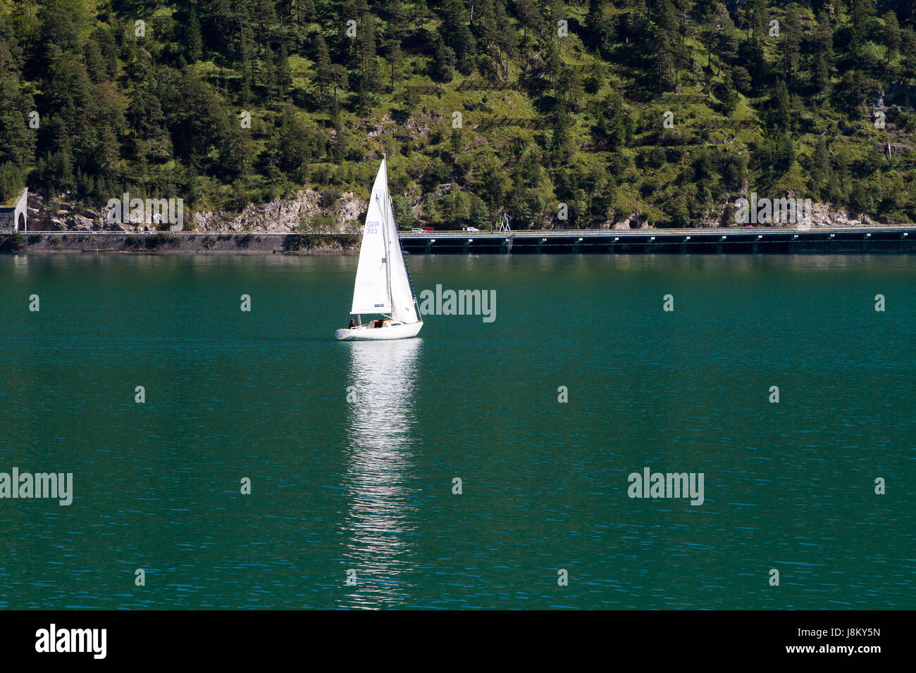 tree, water, rowing boat, sailing boat, sailboat, boat, watercraft ...