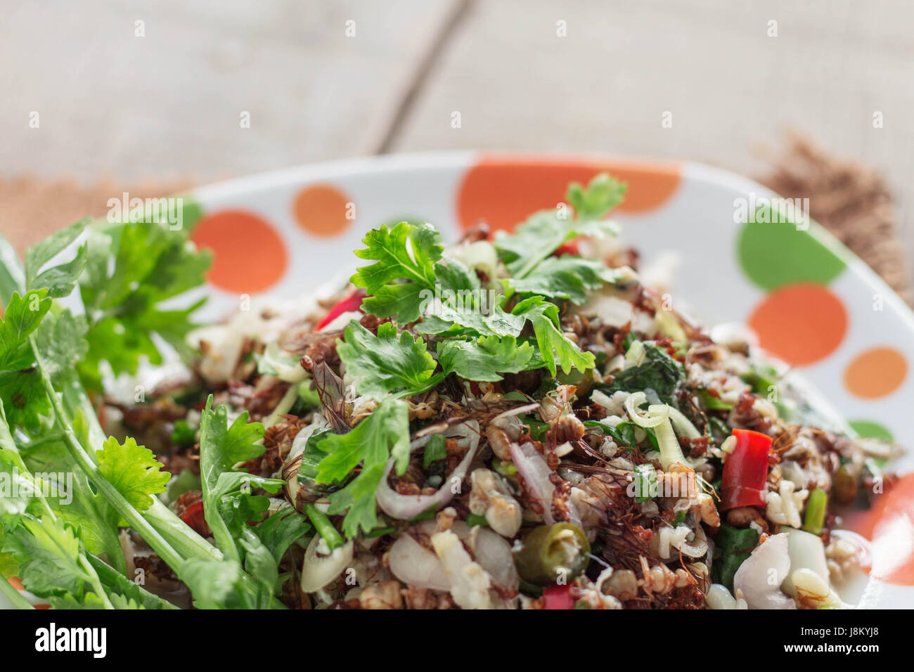 Ants eggs in dish on a wooden table Stock Photo - Alamy