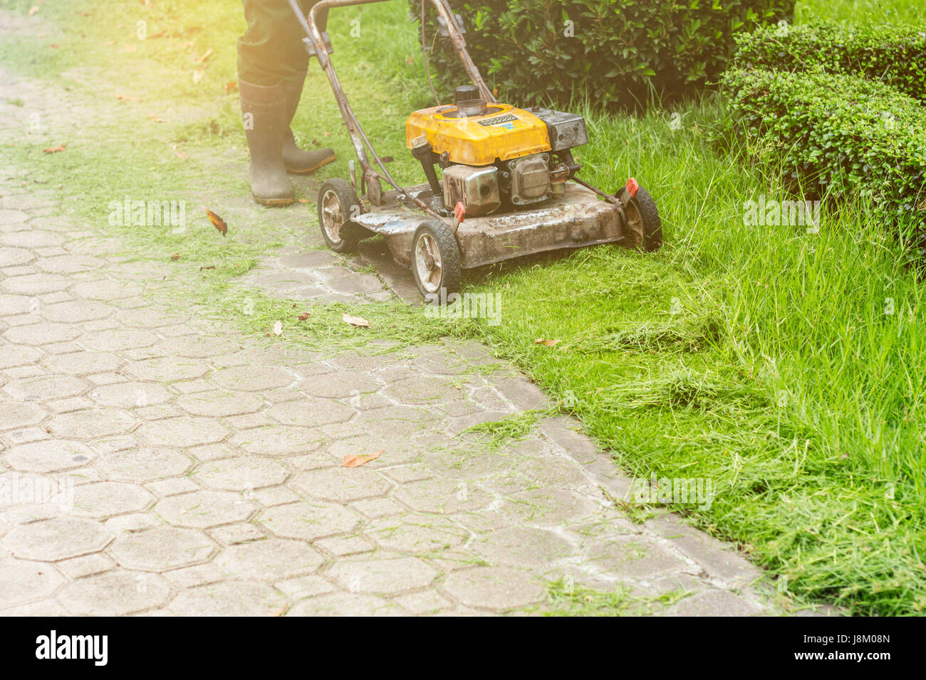 People are using lawn mowers in the garden Stock Photo - Alamy