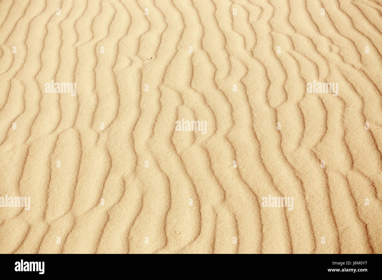 Lines in the sand of a beach, close up Stock Photo - Alamy