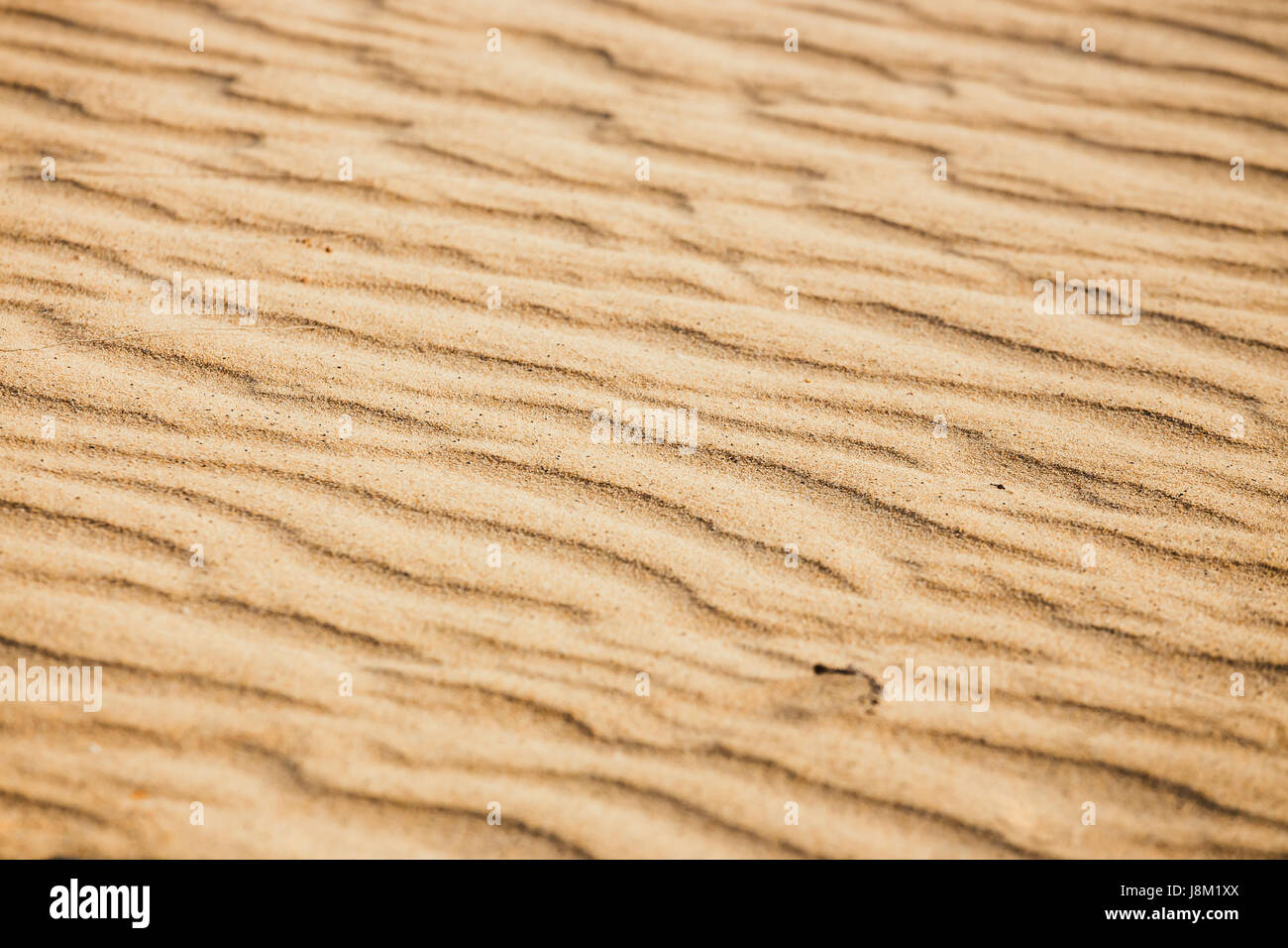 Lines in the sand of a beach, close up Stock Photo - Alamy