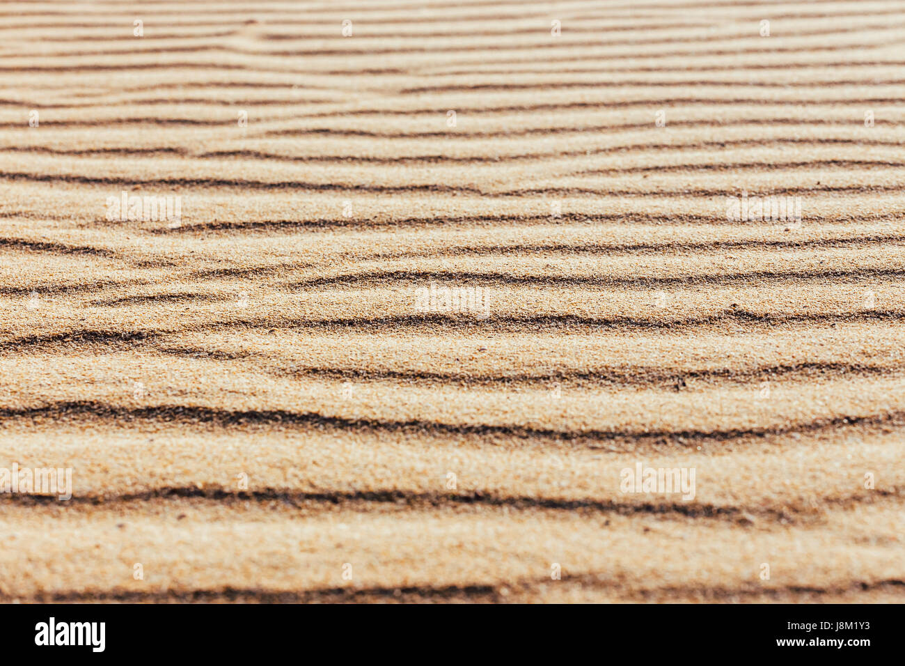 Lines in the sand of a beach, close up Stock Photo - Alamy