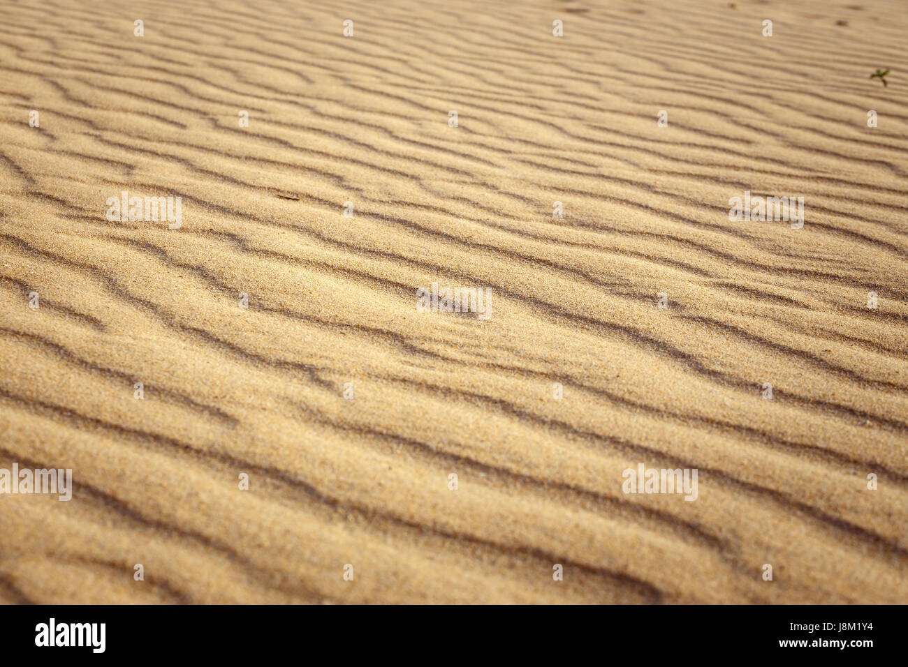 Lines in the sand of a beach, close up Stock Photo - Alamy
