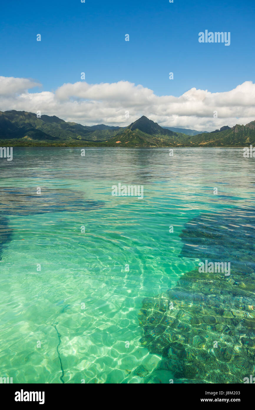 The crystal clear emerald green waters, beautiful coral reefs, and lush ...