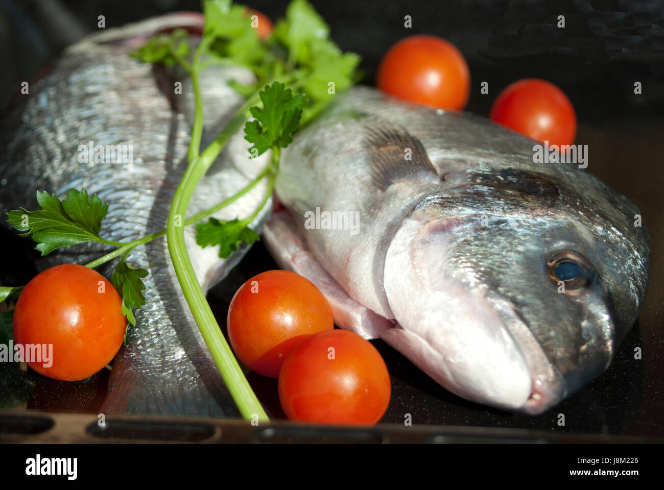 blue, food, aliment, health, water, mediterranean, salt water, sea ...