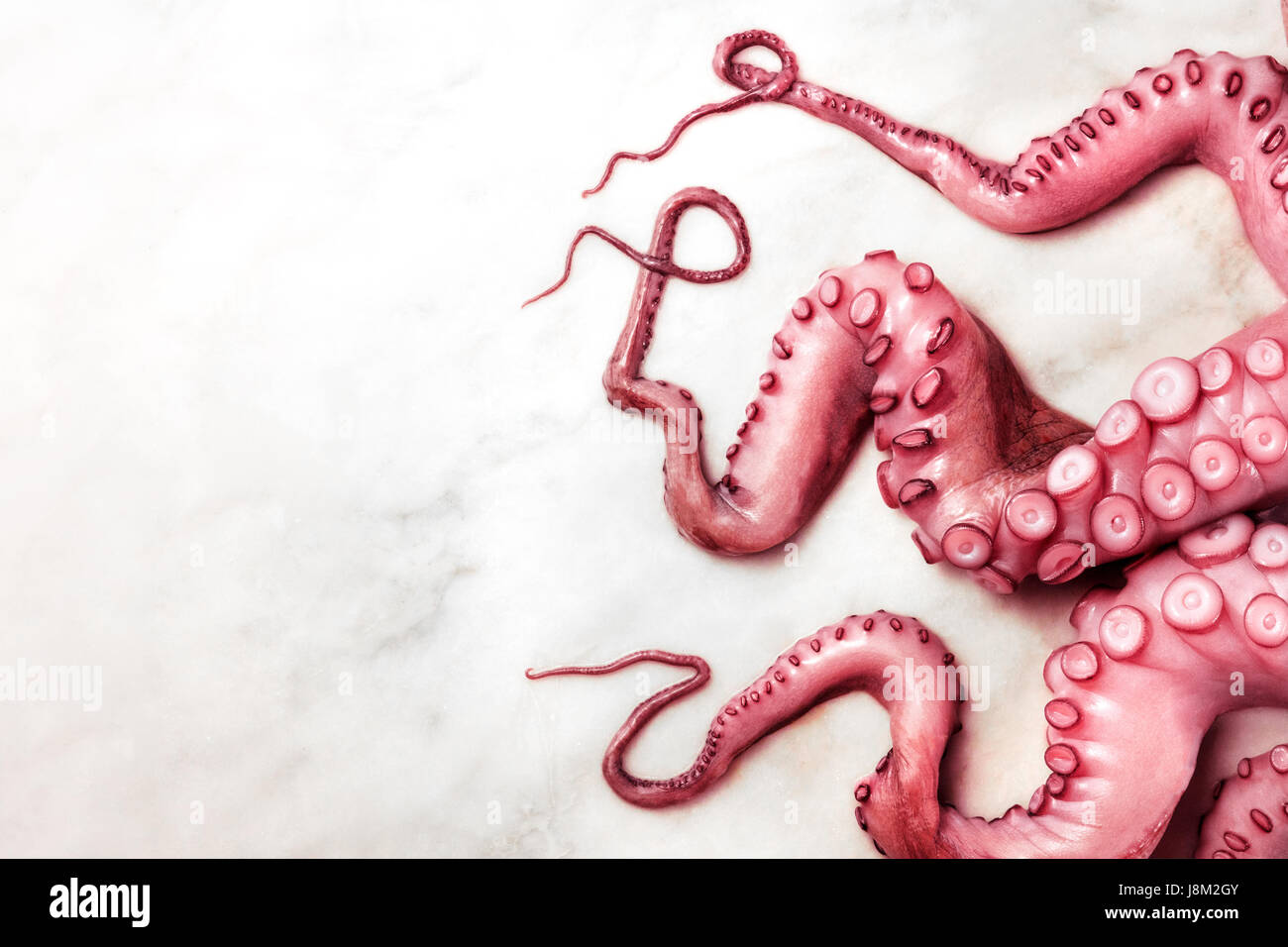 An overhead photo of the tentacles of an octopus, shot from above on a ...