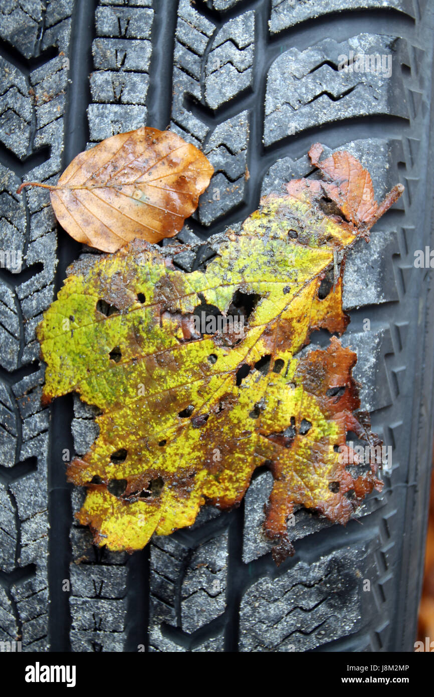 autumn leaves on a car tire Stock Photo - Alamy