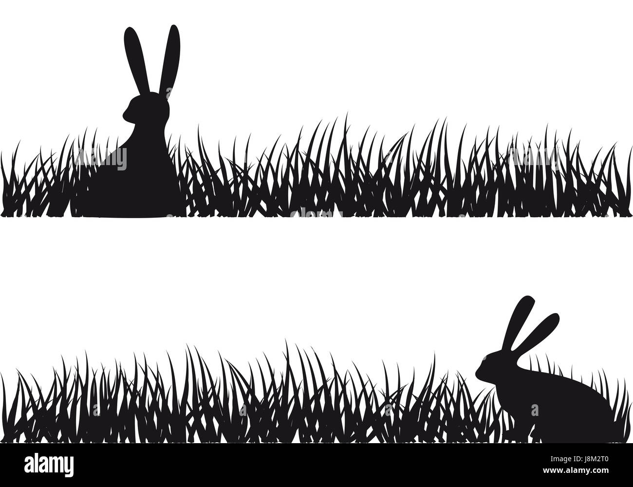 Black and white rabbit photo hi-res stock photography and images - Alamy