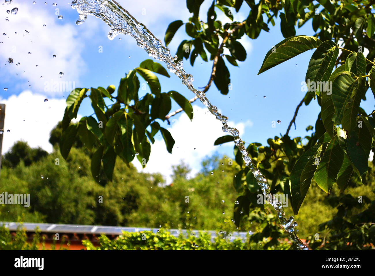 drop, splash, fresh, water, nature, drip, drops, seeping, sopping ...