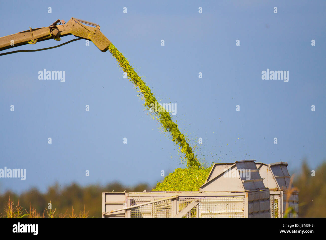 agriculture, farming, chaffs, chopper, harvest, eco, agriculture ...