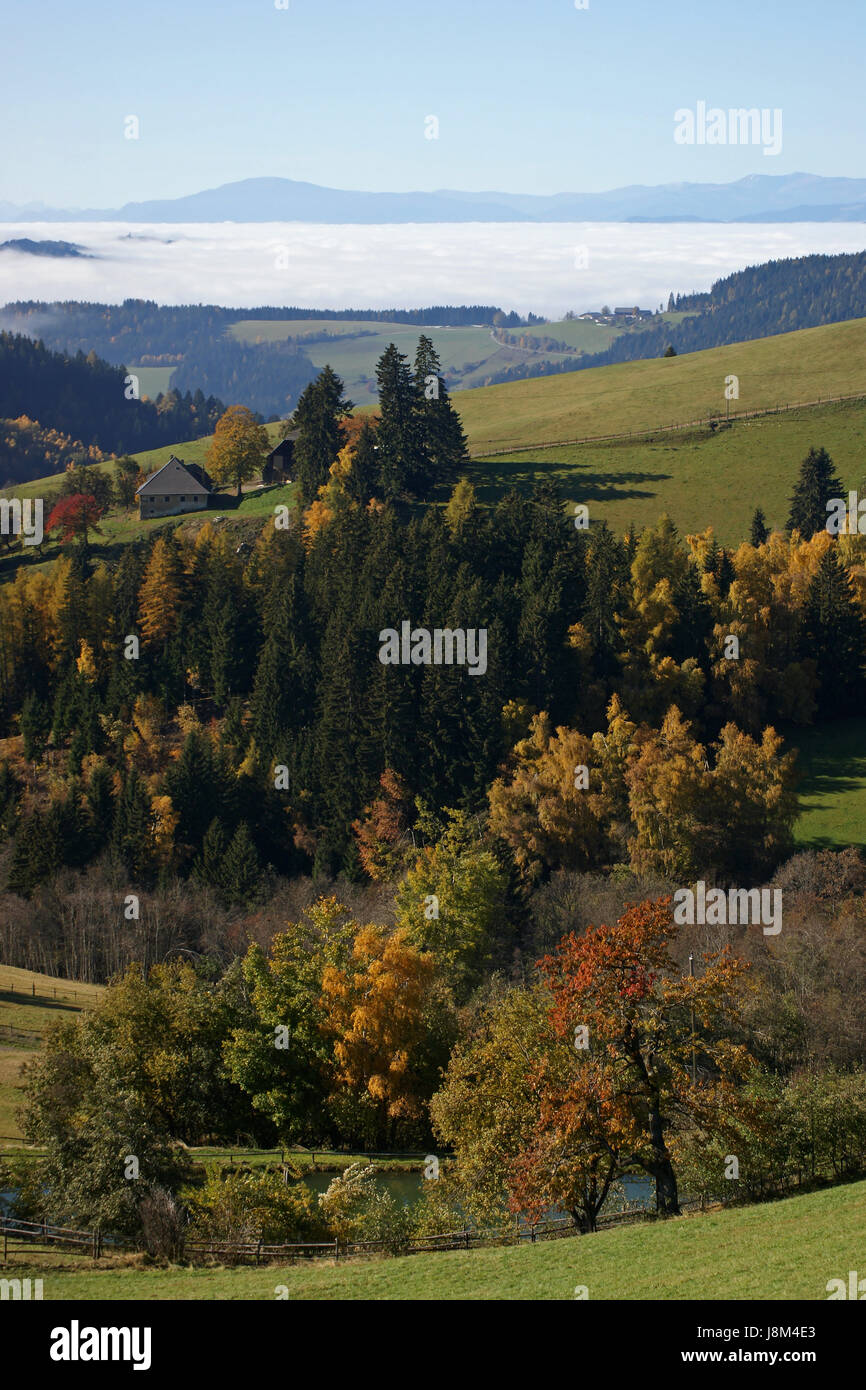 diex in autumn Stock Photo - Alamy