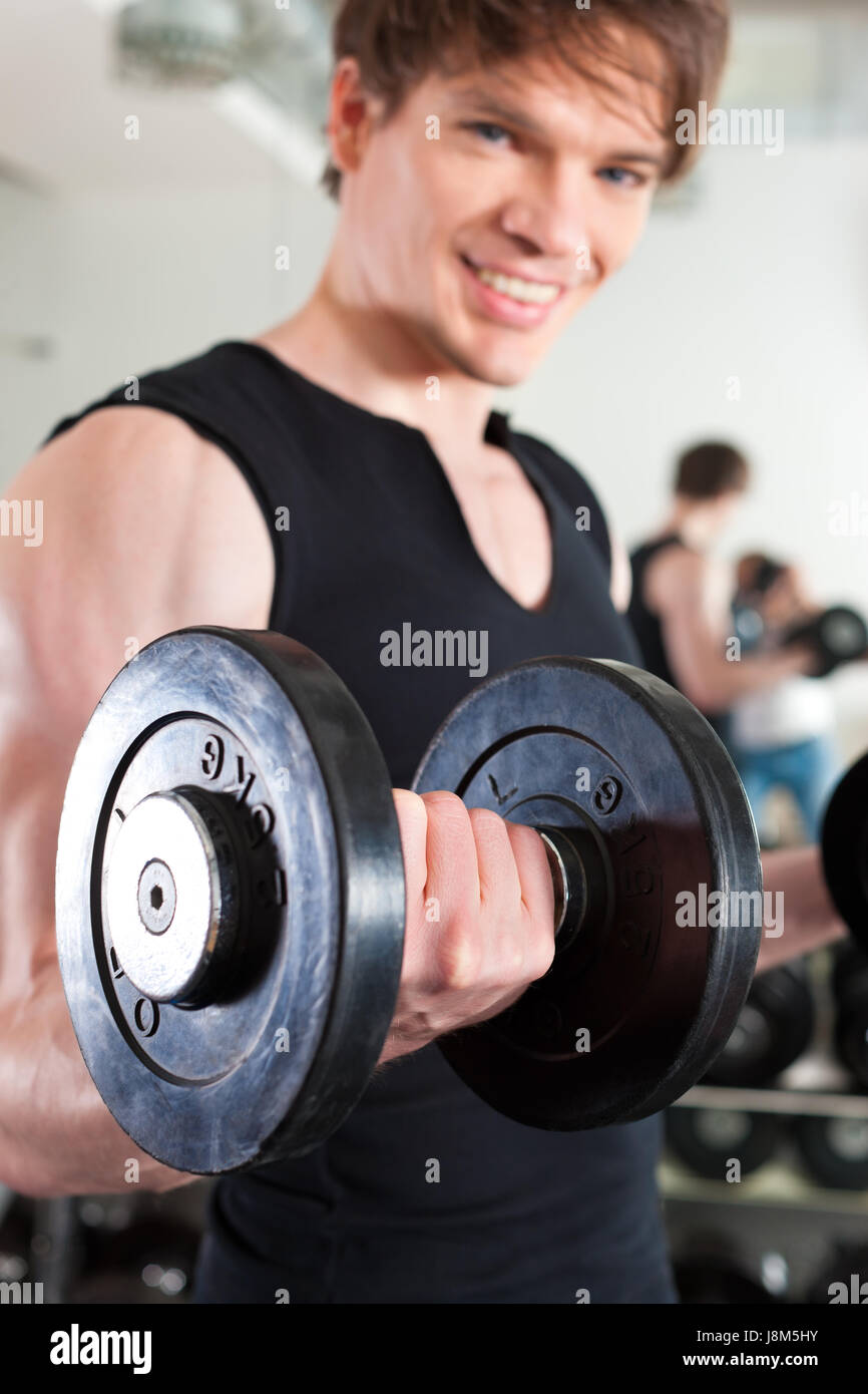 sport - man is exercising with dumbbells at the gym Stock Photo - Alamy