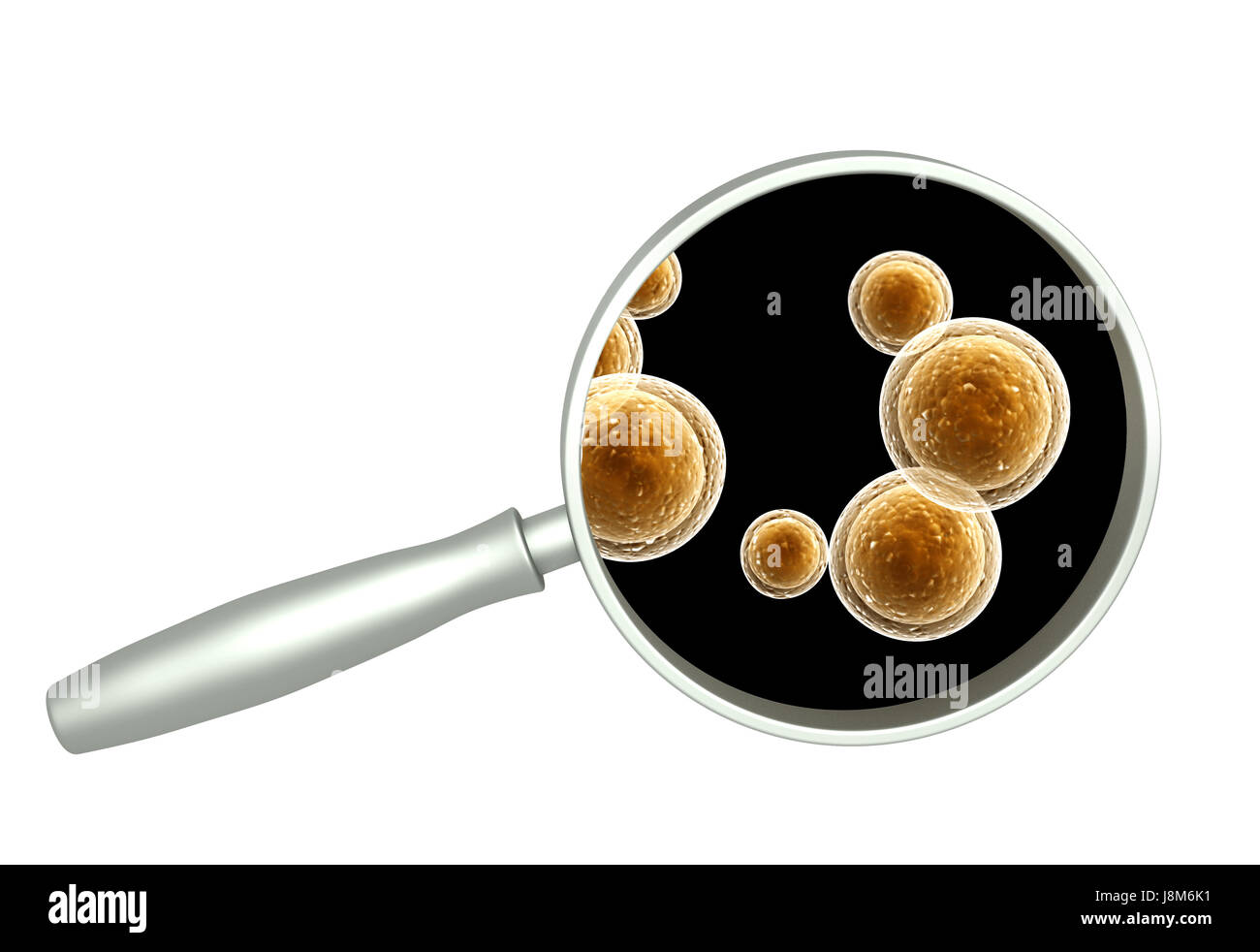 Magnifying glass and colony of pathogen bacteria. Isolated on white ...