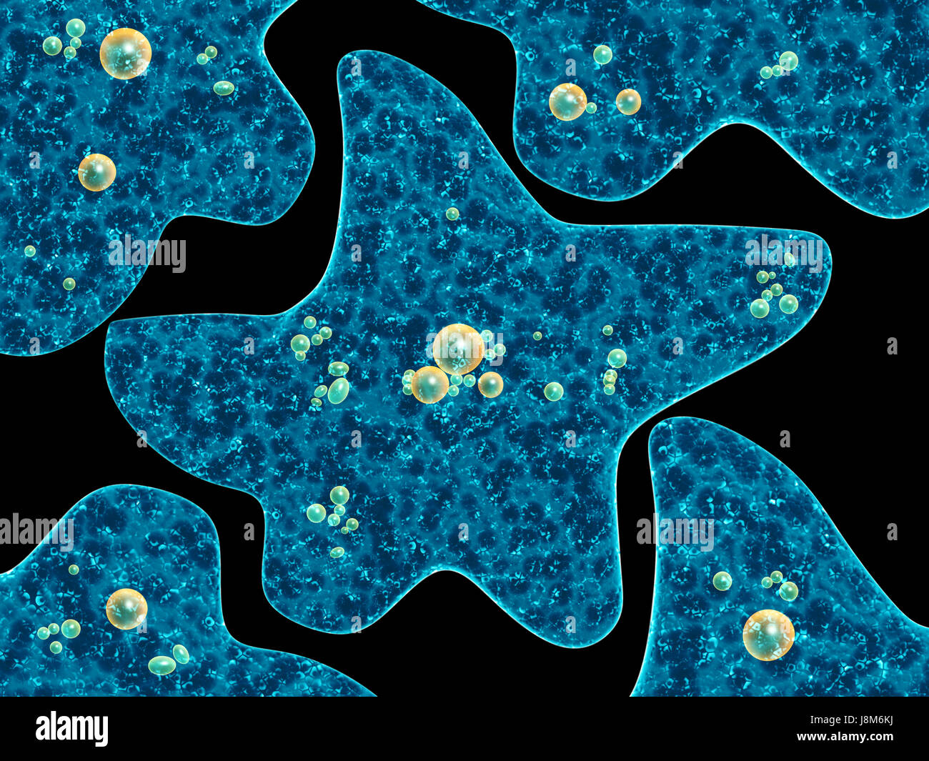 Ameba Stock Photos & Ameba Stock Images - Alamy