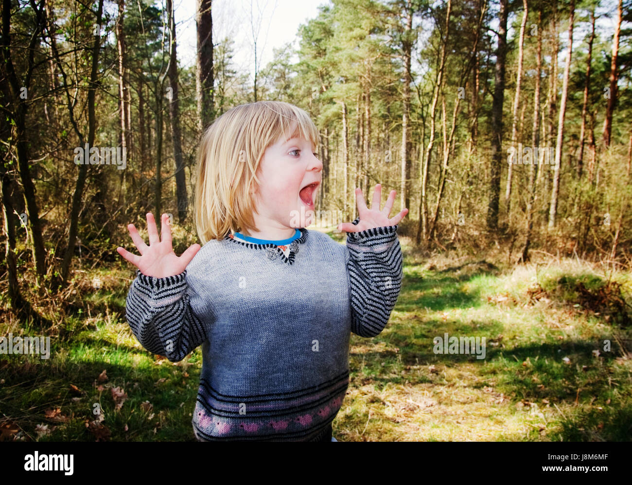 childhood, scared, boy, lad, male youngster, child, forest, nature ...