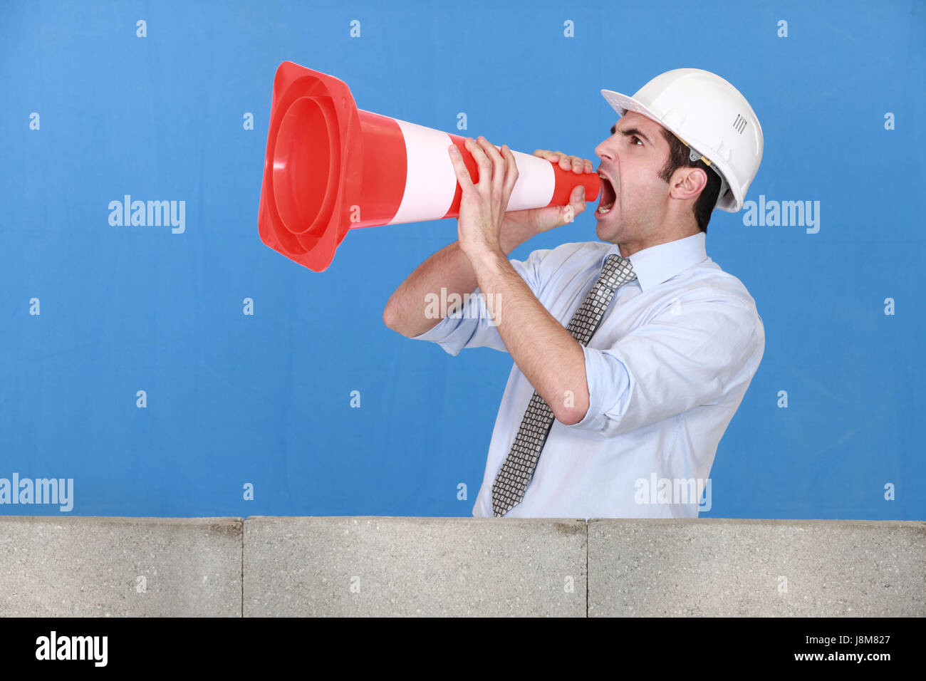 adult, leader, captain, chieftain, chief, boss, manager, superior, cone ...