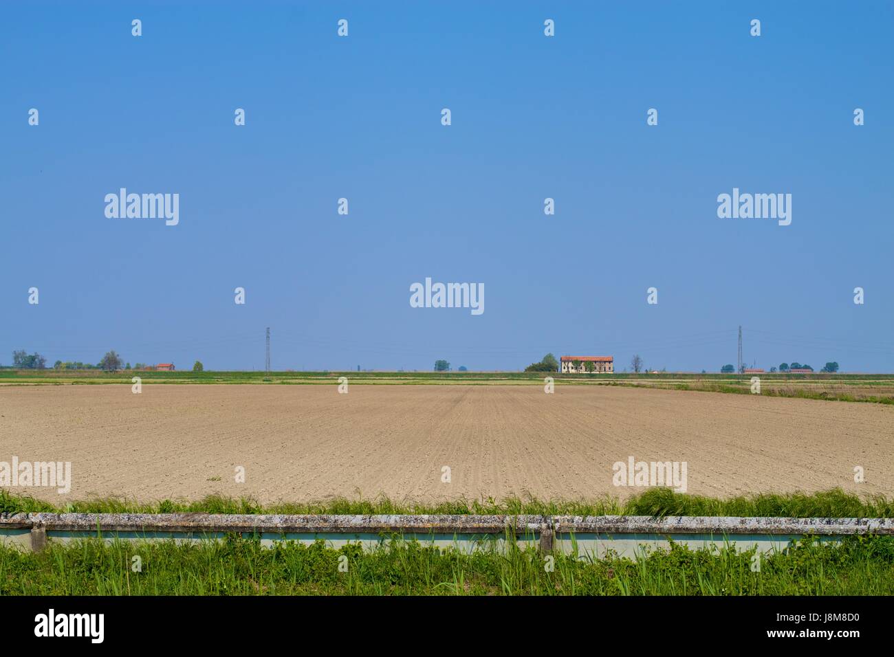 blue, tree, field, europe, sunshine, lowland, flat, plants, landscape ...