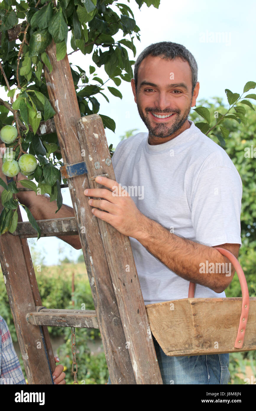 biological, basket, bush, delighted, unambitious, enthusiastic, merry ...