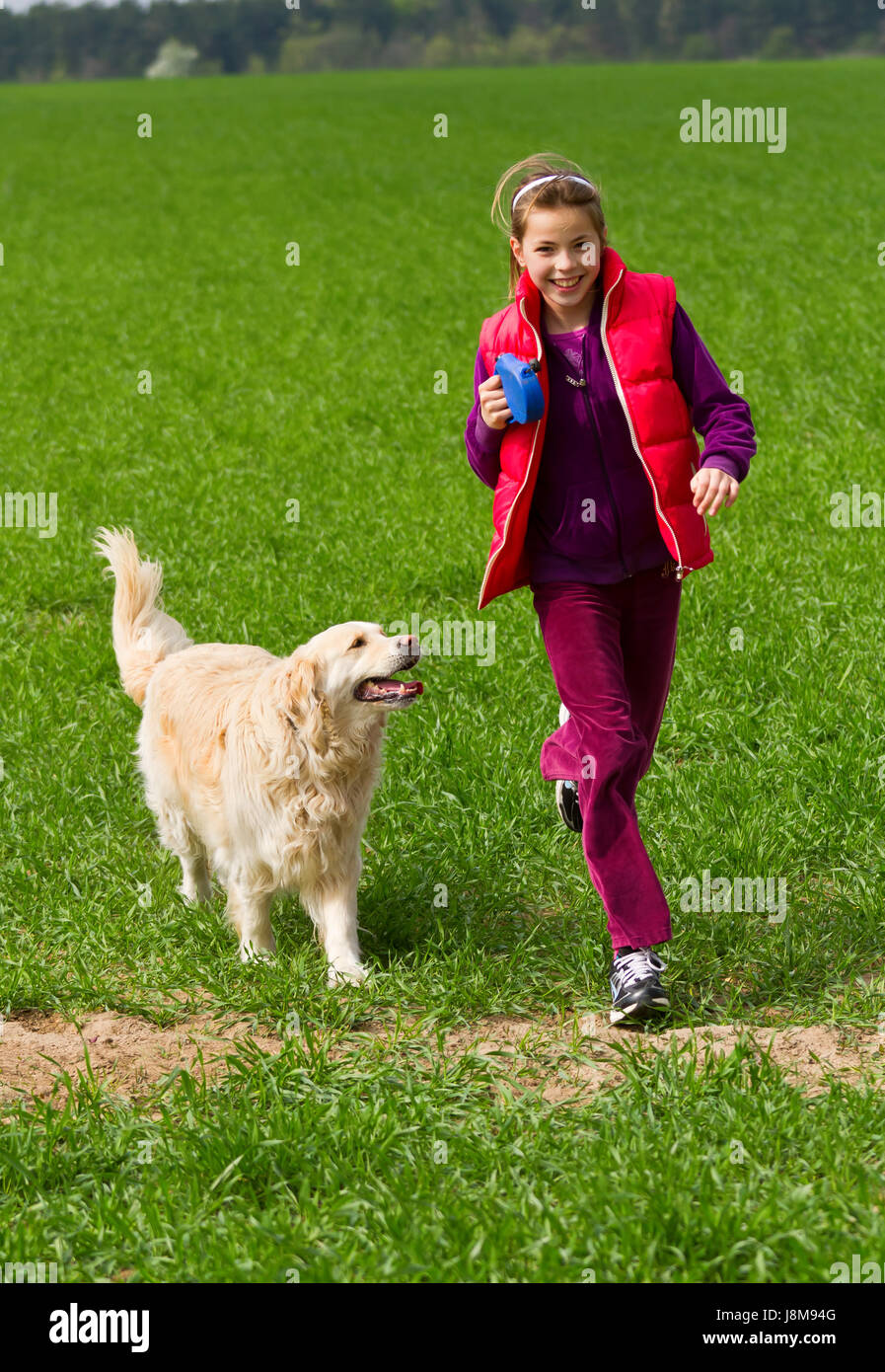 Greyhound running lawn hi-res stock photography and images - Alamy