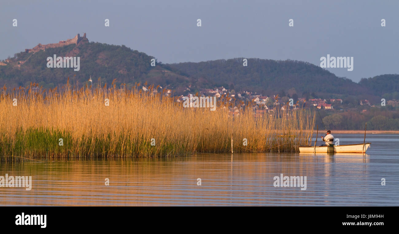 humans, human beings, people, folk, persons, human, human being, hobby ...