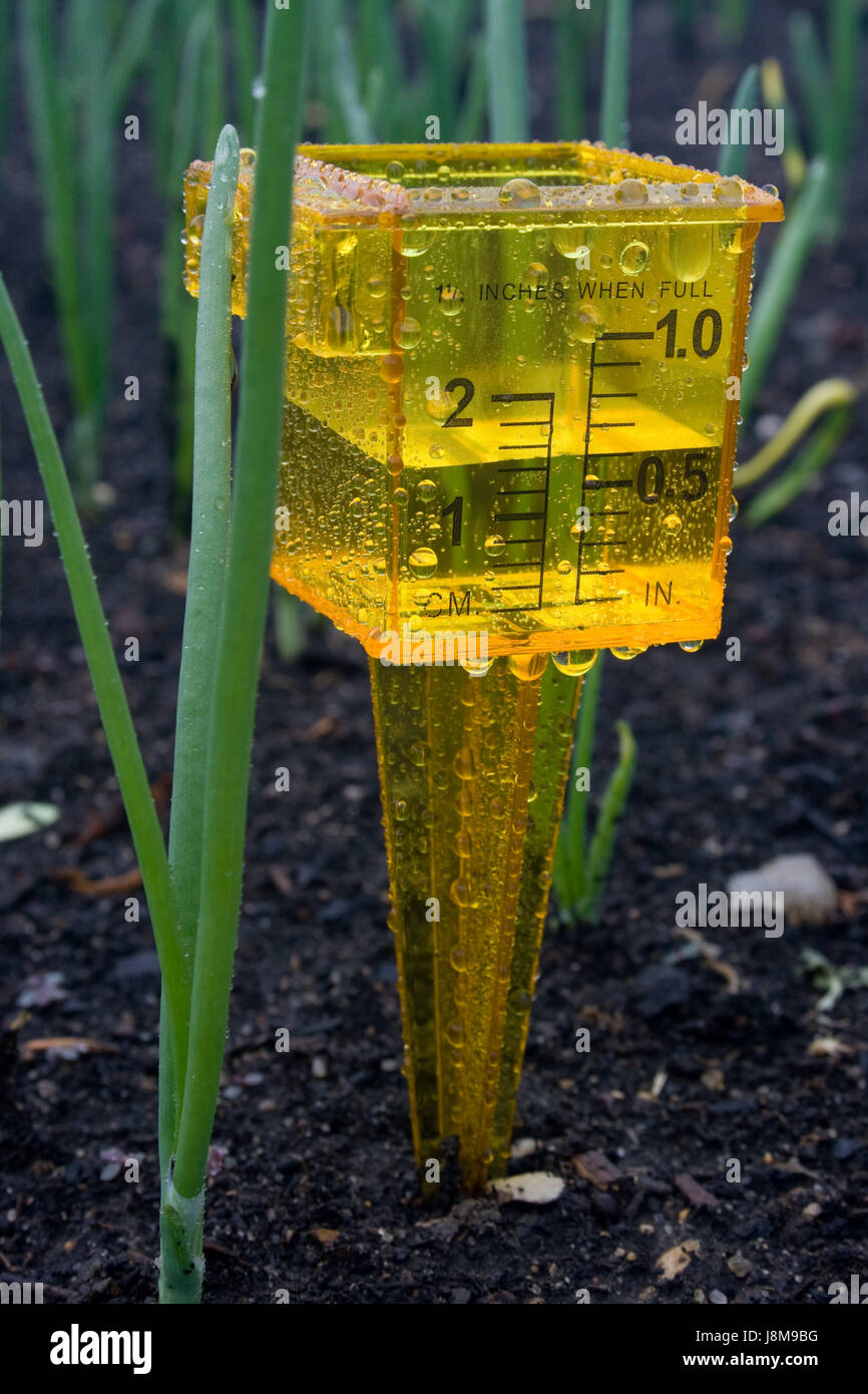 garden, weather, rainfall, rain, gauge, instruments, raining, garden ...