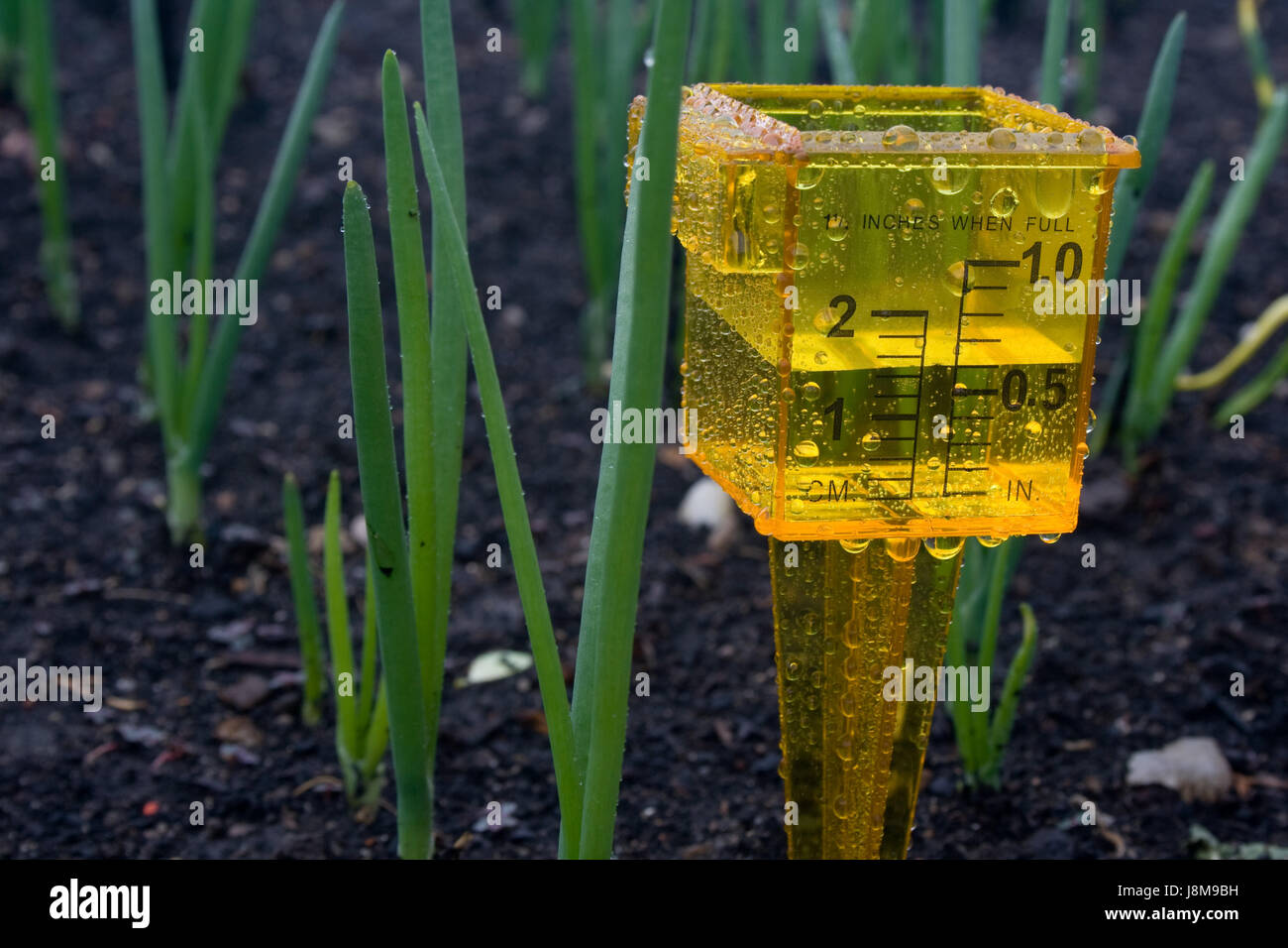 garden, weather, rainfall, rain, gauge, instruments, raining, garden ...
