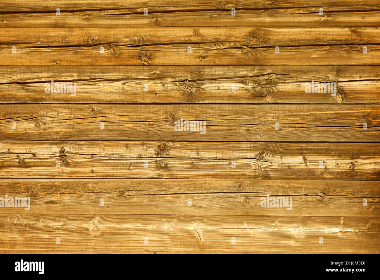 Natural yellow colored pine wood panels as background Stock Photo - Alamy