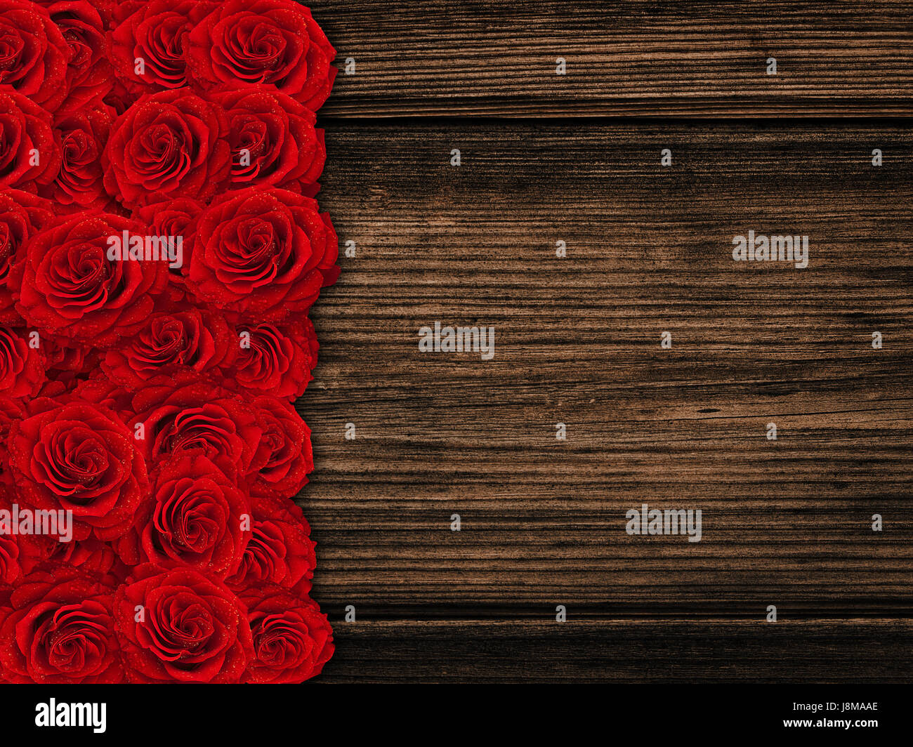 flower, plant, rose, board, flower, plant, rose, wood, rough, vintage ...