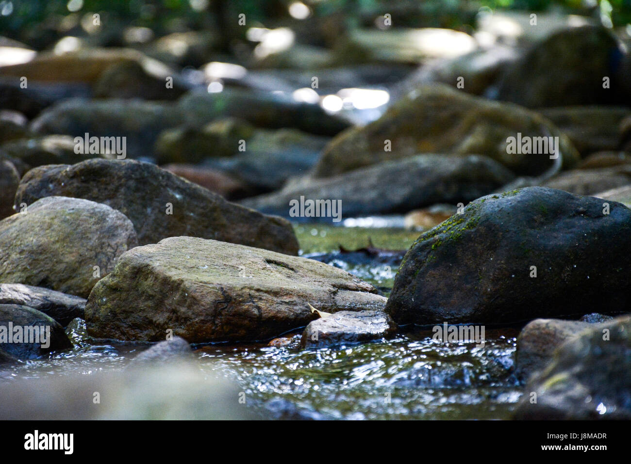 river side with rocks on the mountain Stock Photo - Alamy