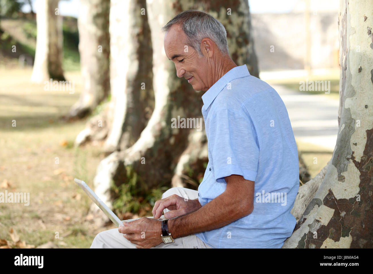 male, masculine, grey, gray, hair, man, fine, profile, laptop, notebook ...