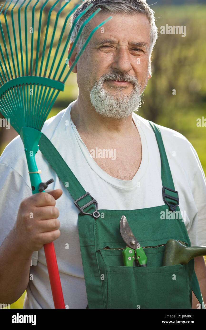 garden, portrait, hobby, gardener, gardening, orchard, man, senior ...