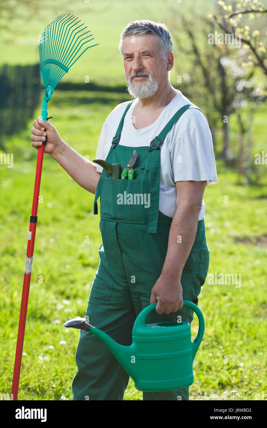 garden, portrait, hobby, gardener, gardening, orchard, man, senior ...