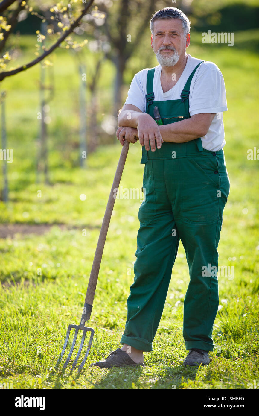 garden, portrait, hobby, gardener, gardening, orchard, man, senior ...