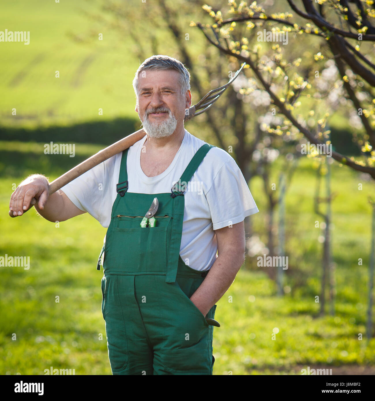 garden, portrait, hobby, gardener, gardening, orchard, man, senior ...