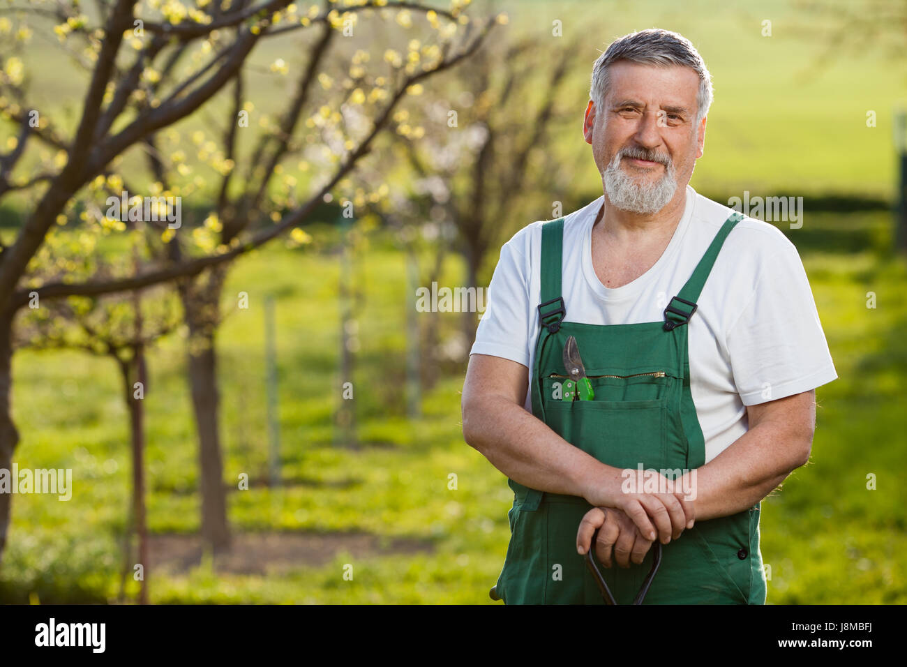 garden, portrait, hobby, gardener, gardening, orchard, man, senior ...