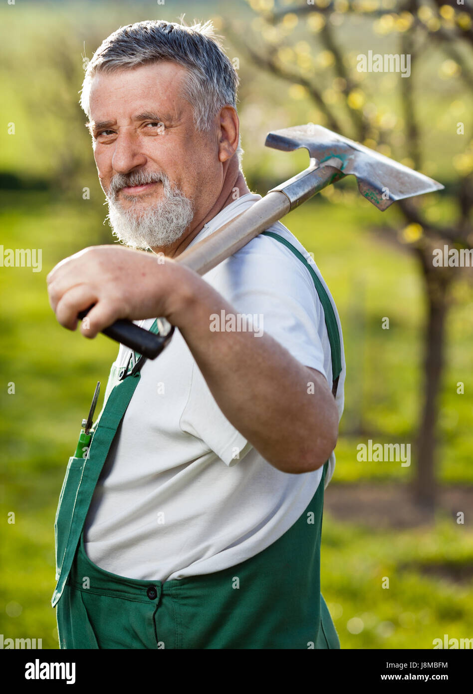 garden, portrait, hobby, gardener, gardening, orchard, man, senior ...