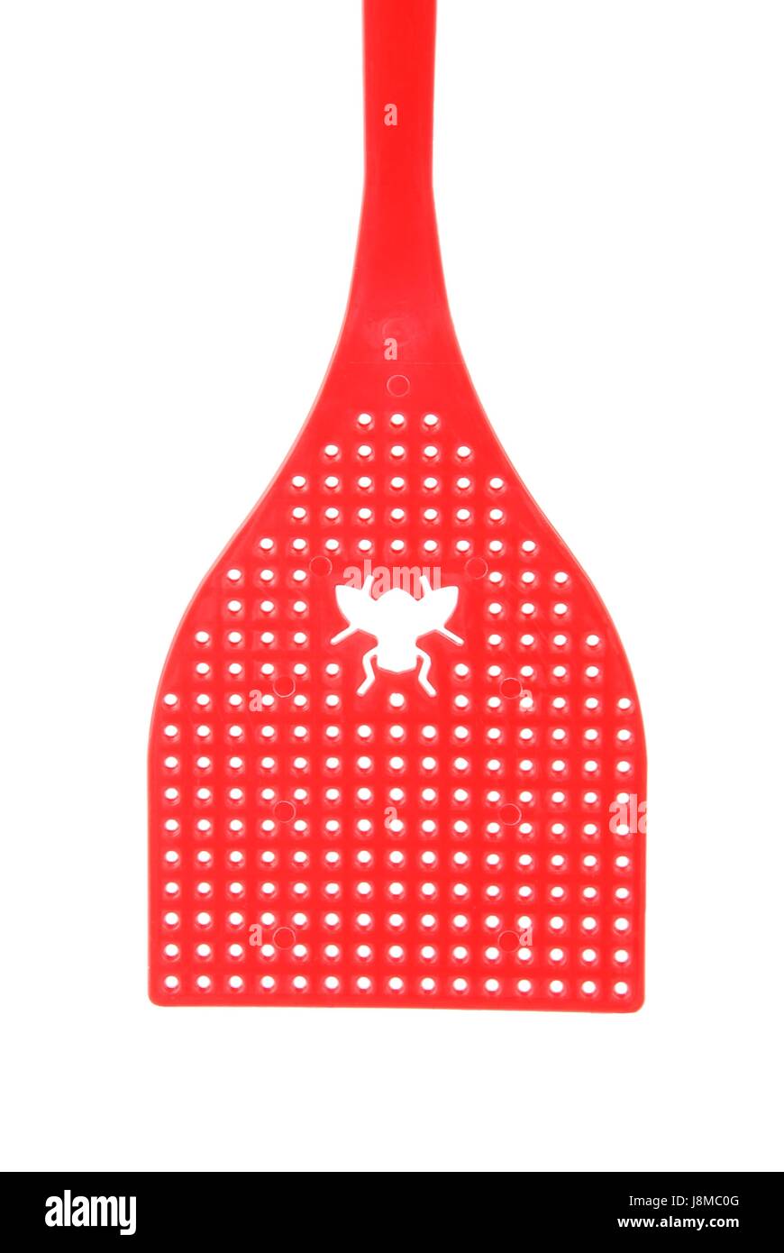 insect, plastic, synthetic material, kill, murder, squash, swatter, fly ...