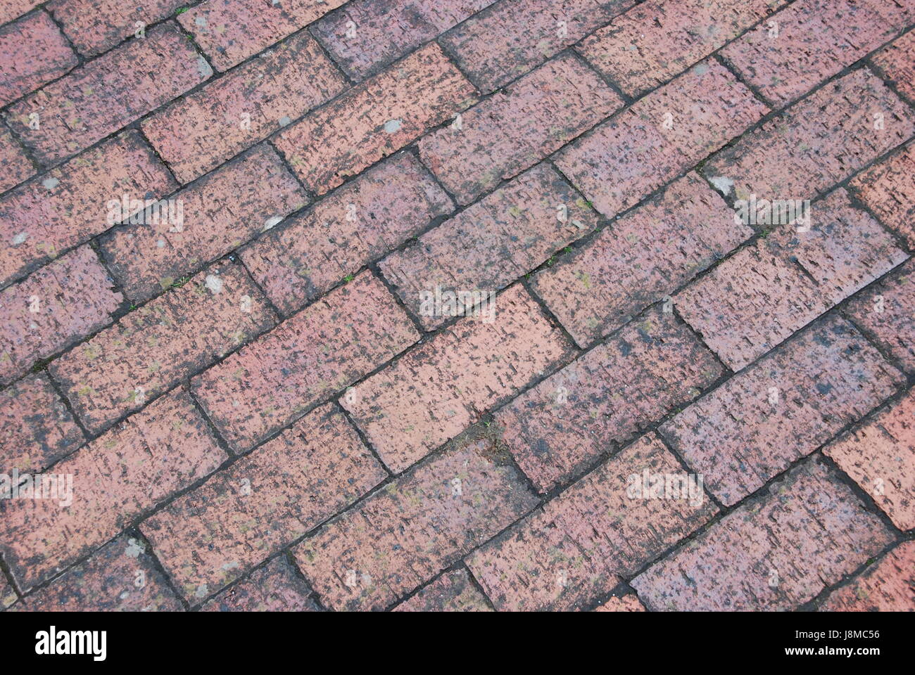 pavement, square, brick, pattern, ceramic, floor, backdrop, background ...