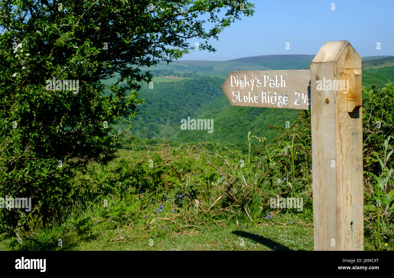 Around Exmoore National Park devon England UK Crook Horn Hill Stock ...