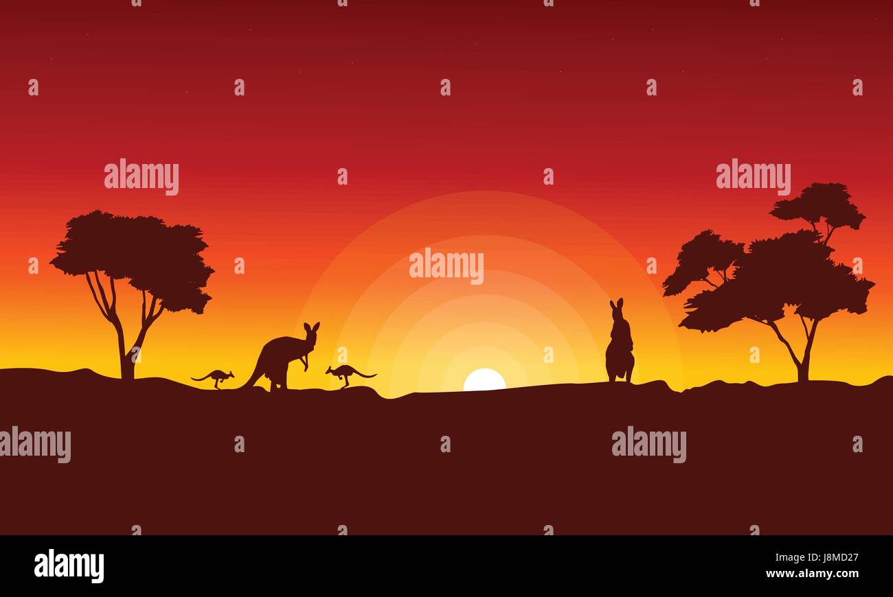 Kangaroo with red sky landscape silhouette Stock Vector Image & Art - Alamy