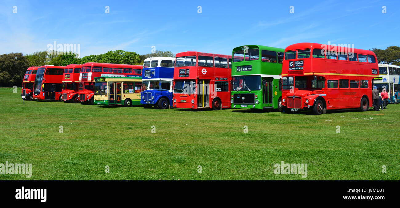 Line up of buses at 25th Hastings bus rally Stock Photo - Alamy
