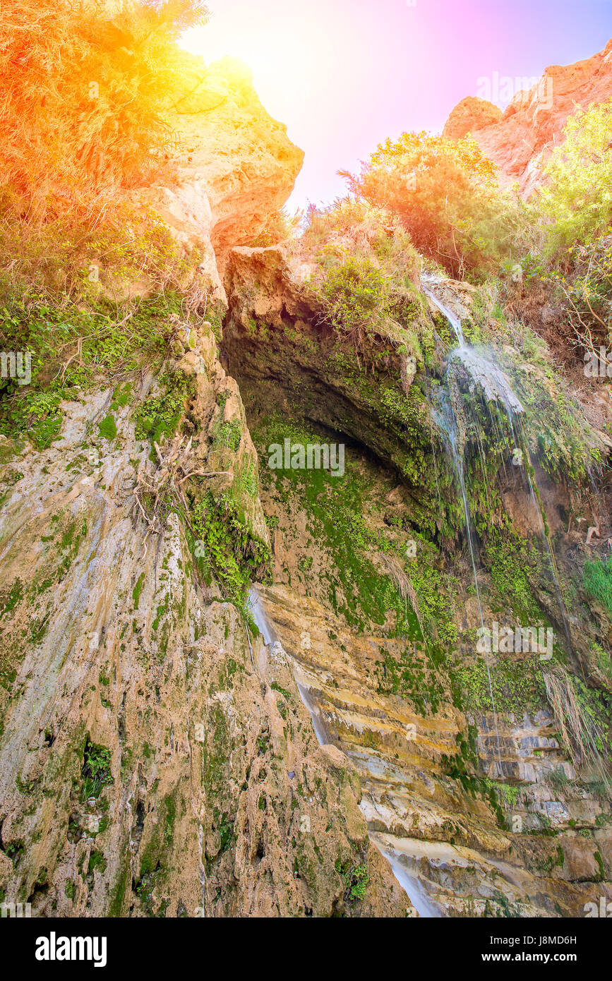 Ein Gedi National Park in Israeli oasis with rock water in spring Stock ...