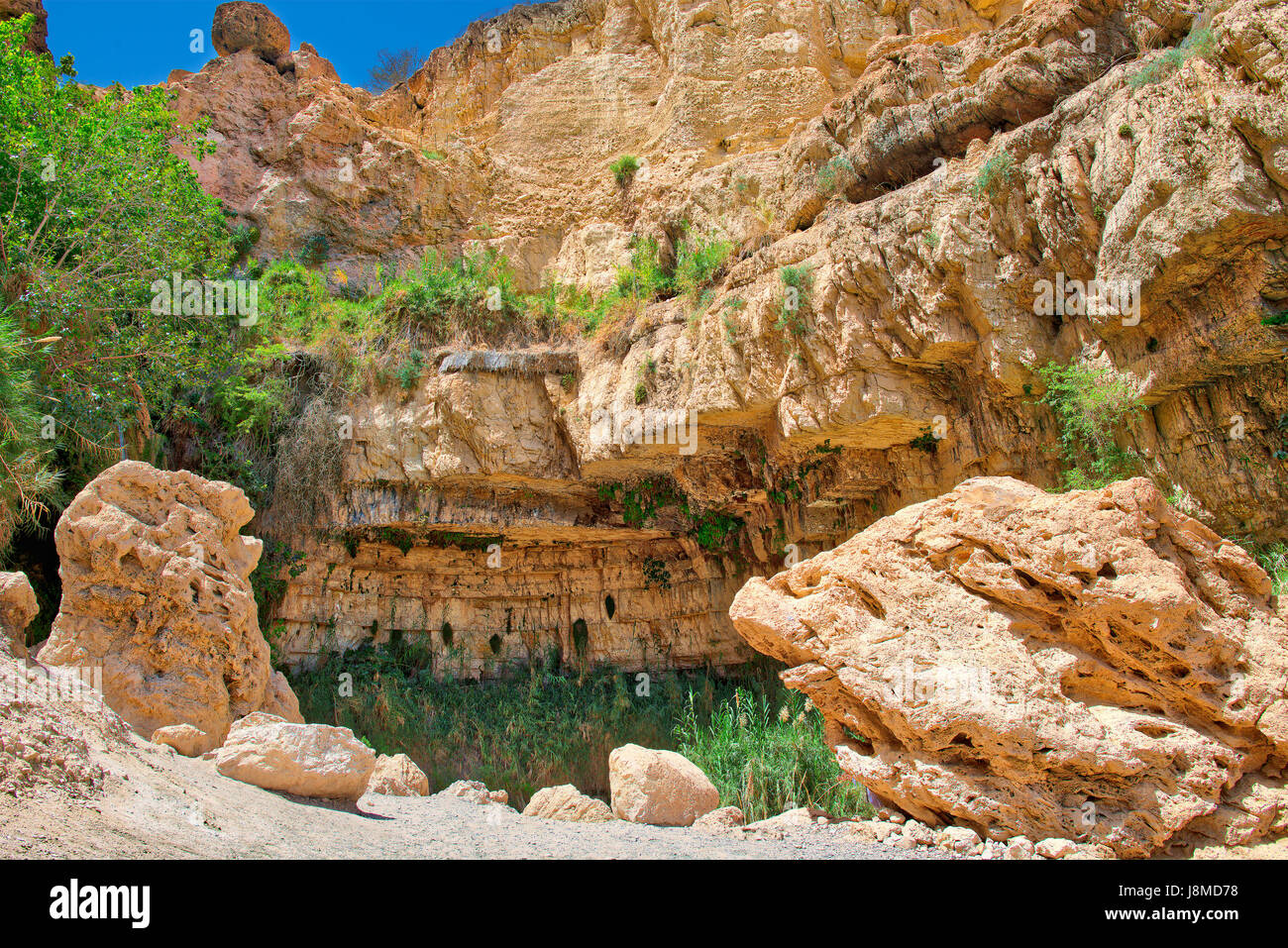 Oasis of Ein Gedi National Park in Israel in spring Stock Photo - Alamy