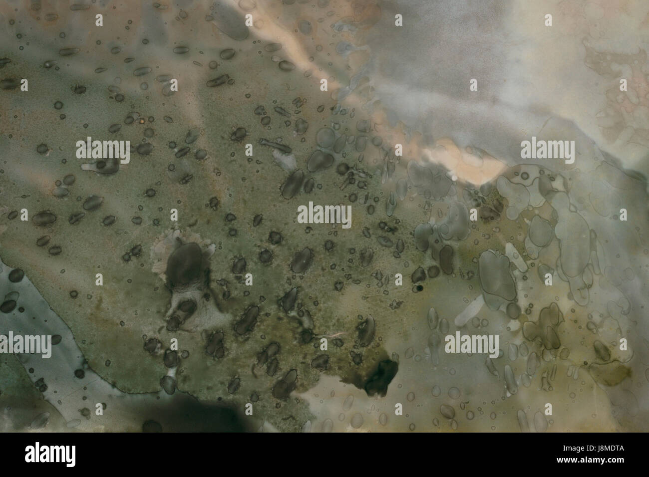 Expired, badly processed, BW photopaper background Stock Photo - Alamy