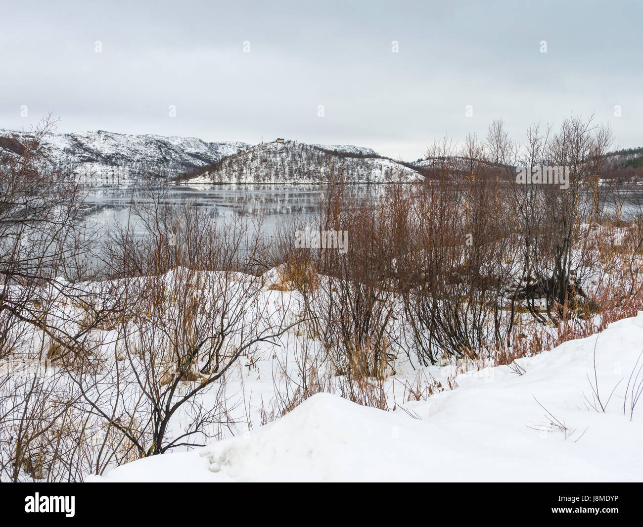 Norway russian border hi-res stock photography and images - Alamy