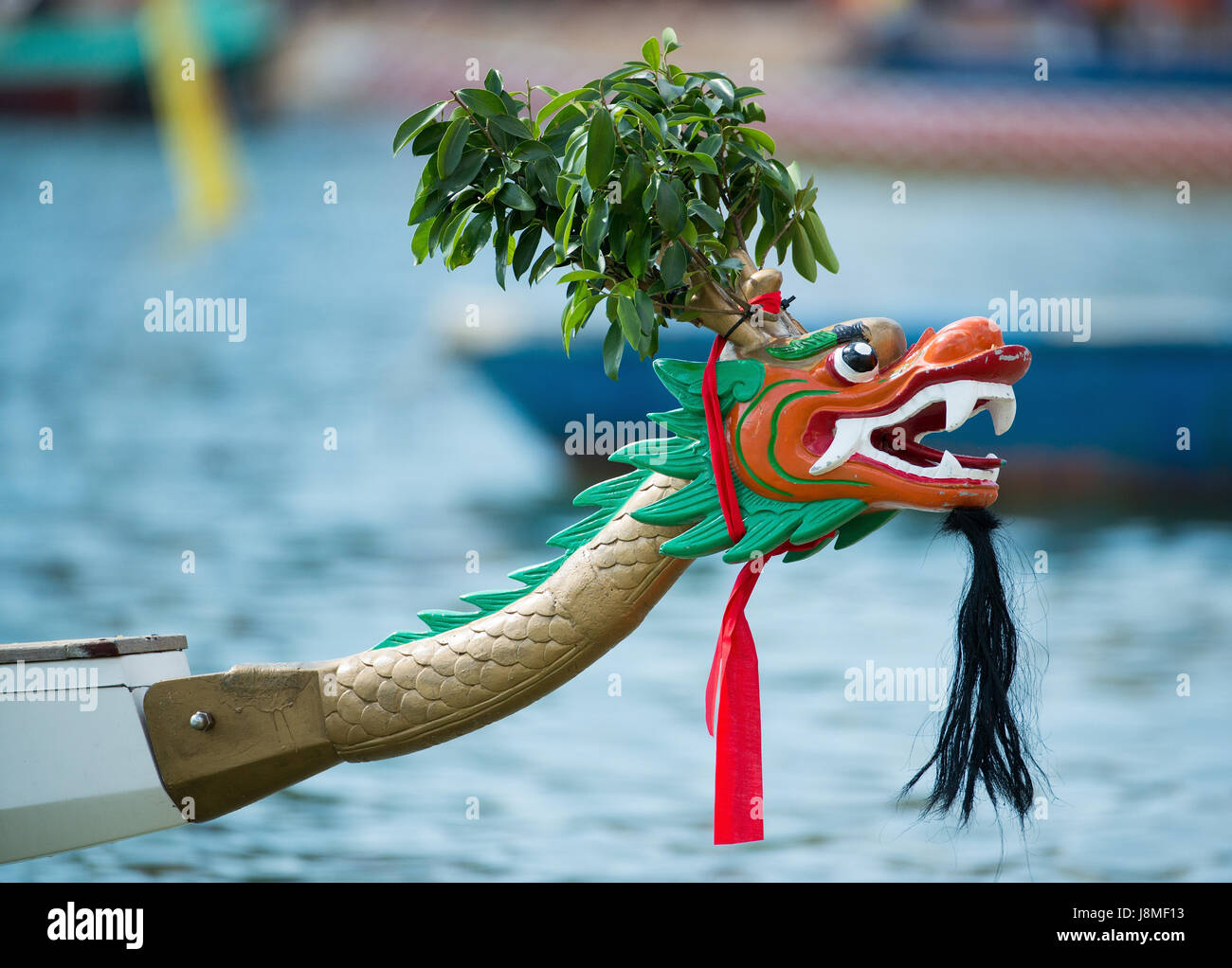 Dragon boat head.Annual International Dragon Boat races at Stanley ...